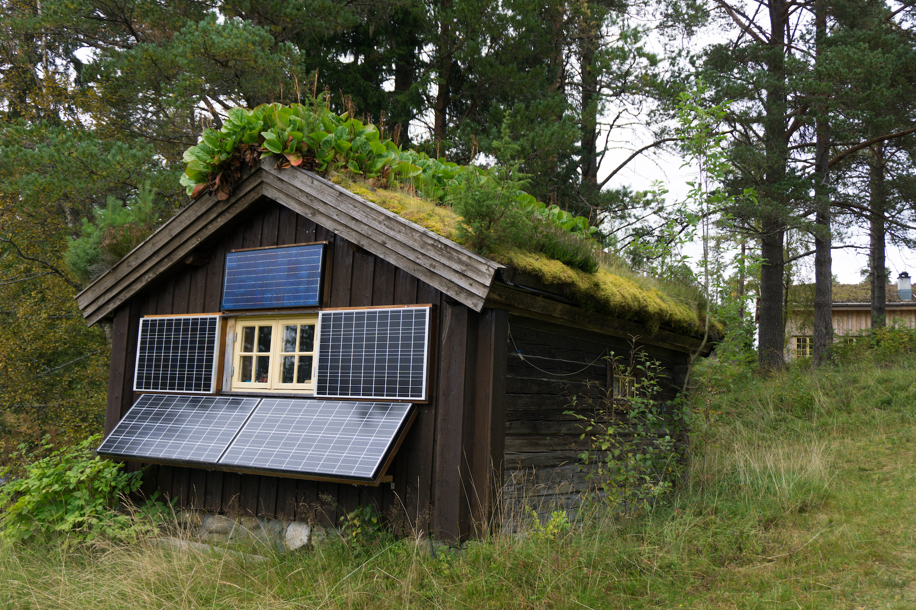 Living an Off-Grid Lifestyle: 6 Things to Consider - Grit